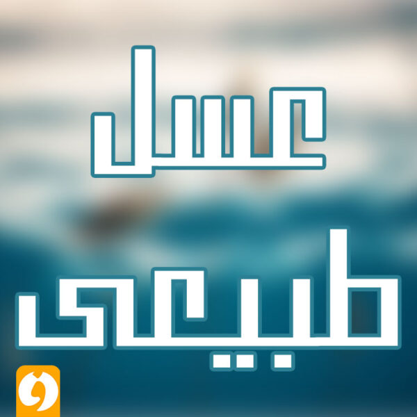 دانلود رایگان فونت فارسی عسل ویژه طراحی لوگوتایپ و جلد کتاب